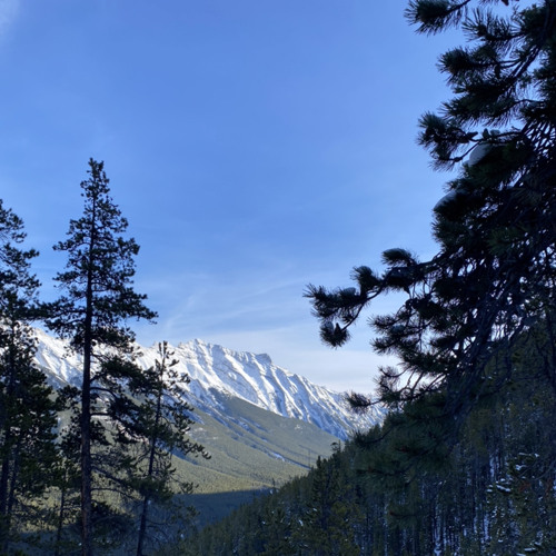 Stream Sky by Emily Morris-Smale | Listen online for free on SoundCloud