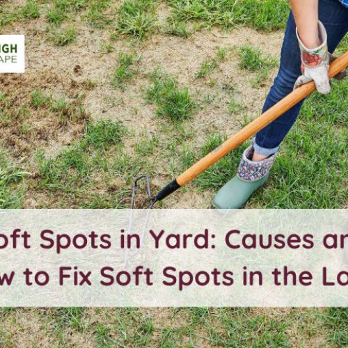 Stream episode Soft Spots in Yard: Causes and How to Fix Soft Spots in ...