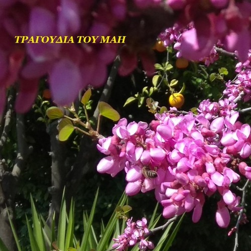 Stream ΤΡΑΓΟΥΔΙΑ ΤΟΥ ΜΑΗ (2-5-2023) by Η Μουσική στη Ζωή μας | Listen ...