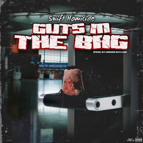 Stream Guts In The Bag by Swift Homicide | Listen online for free on ...