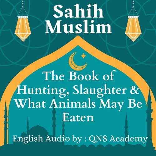 Stream 34 Sahih Muslim The Book of Hunting, Slaughter And What Animals ...