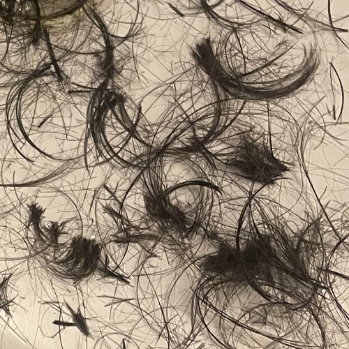 Stream 20240115 by SHIMBO | Listen online for free on SoundCloud