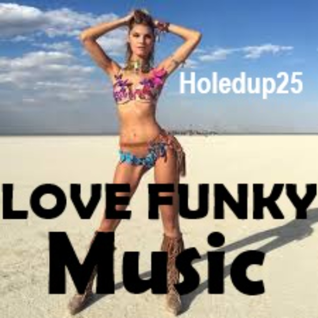 Stream LOVE FUNKY MUSIC by Holedup | Listen online for free on SoundCloud