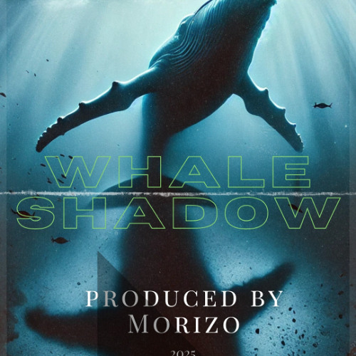 Stream whale shadow[instrumental] by morizo | Listen online for free on ...