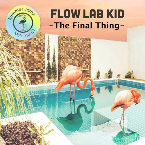 Stream Flow Lab Kid - The Final Thing - TROPICAL DISCO RECORDS by Flow ...