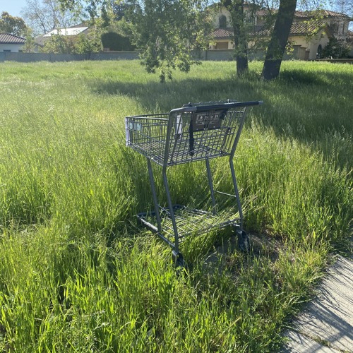 Stream shopping cart demo by snowdon | Listen online for free on SoundCloud Stream shopping cart demo by snowdon | Listen online for free on SoundCloud