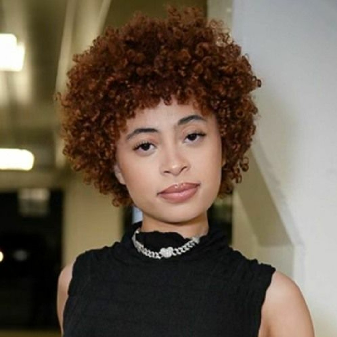 Stream Ice Spice - In Her Mood (G-House Remix) by Nate Adkins | Listen ...