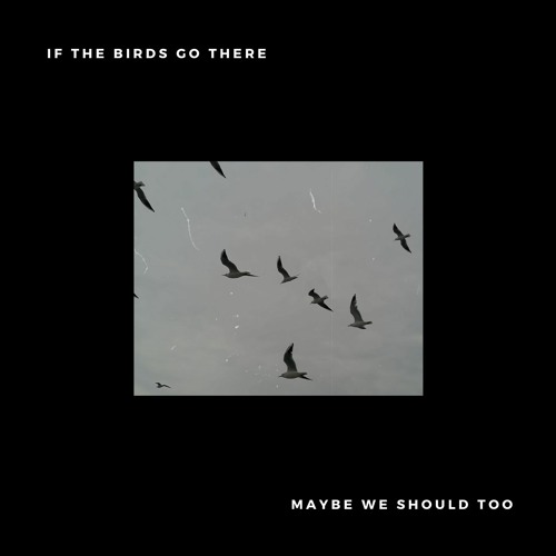 Stream if the birds go there, maybe we should too by Max Deirmenjian ...