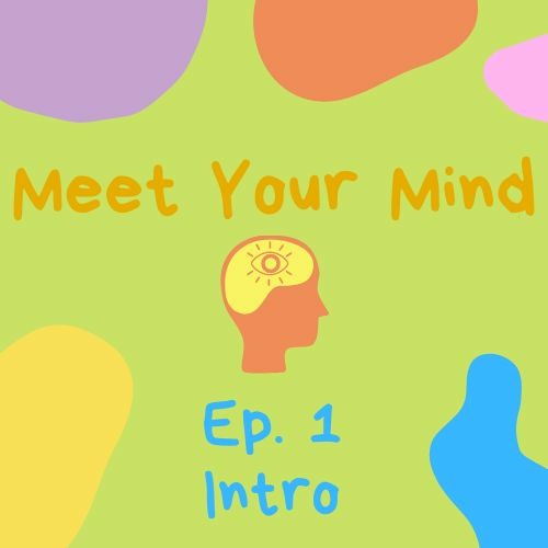 Stream episode Episode 1 - Mental Health Introduction by Meet Your Mind ...