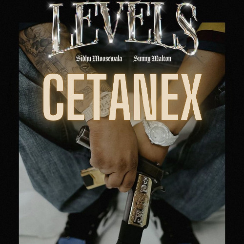Stream Sidhu Moose Wala, Sunny Malton, The Kidd - Levels (CetaneX DnB ...