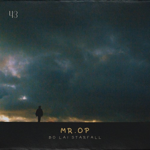 Stream BỎ LẠI STARFALL ( MR.OP MASHUP & EDIT) by 43KHZ | Listen online ...