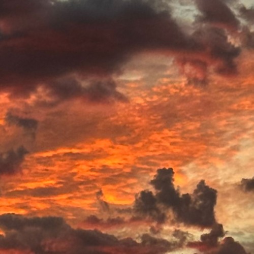 Stream K$ | Listen to FRESH PACK playlist online for free on SoundCloud