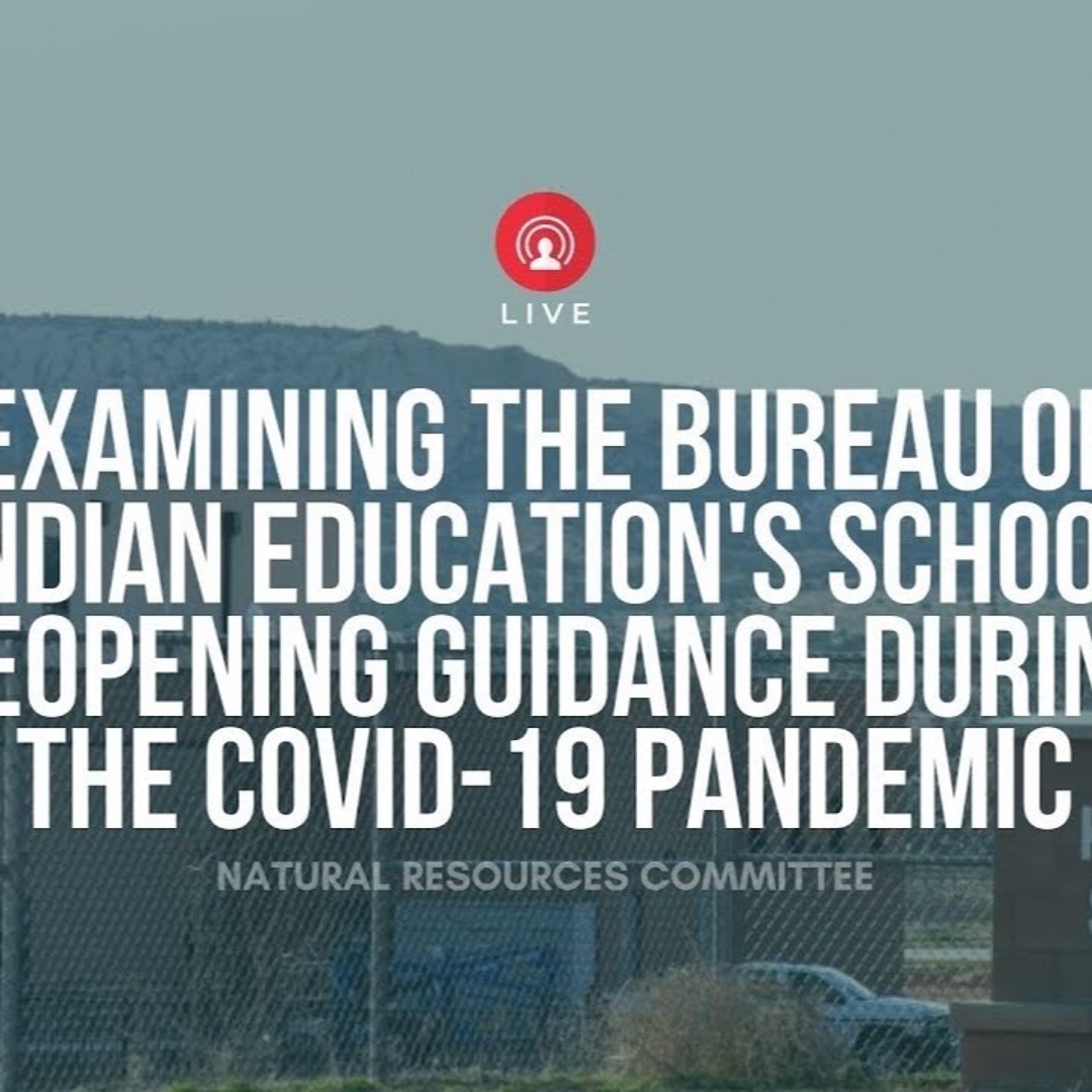 Stream Therese Yanan / Native American Disability Law Center by indianz ...