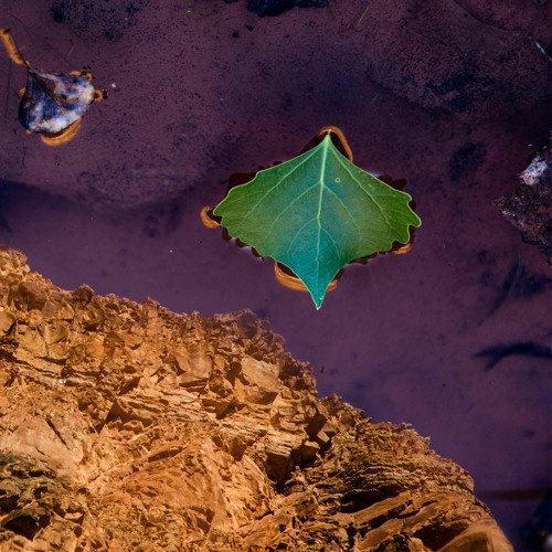 Stream Spring Moon by Sponsored Content | Listen online for free on ...