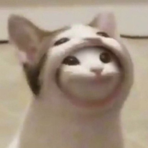 Stream max | Listen to :catJam: playlist online for free on SoundCloud