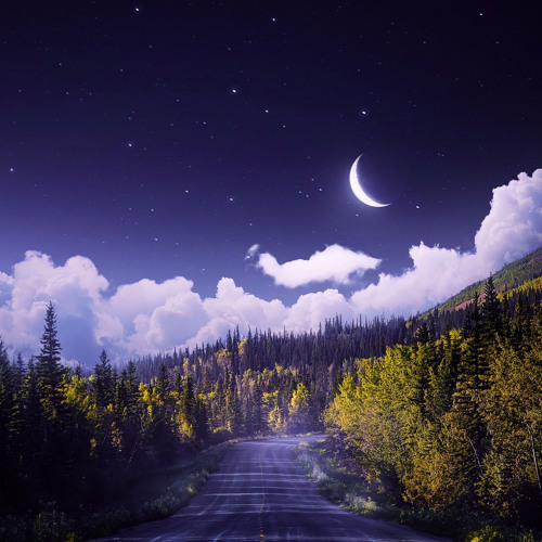 Stream all time low slowed down.m4a by الباب الاخير \ The door | Listen ...