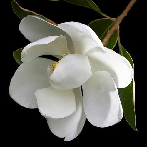 Stream Inna Koval | Listen to Relax playlist online for free on SoundCloud