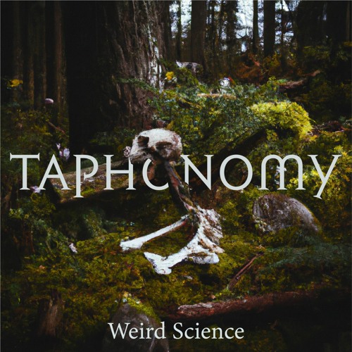 Stream episode Taphonomy by Weird Science podcast | Listen online for ...