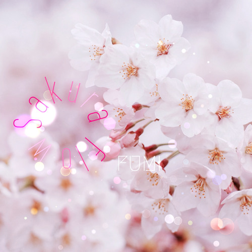 Stream Sakura Flow (2024 Remix) - FUMI by FUMI (JP) | Listen online for ...