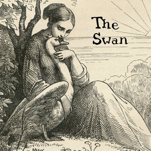 Stream The Swan - Draft by Troll Tunes | Listen online for free on ...