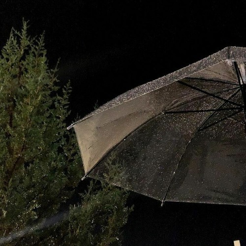 Stream raining (prod. xenshel) by lonelywill | Listen online for free ... Stream raining (prod. xenshel) by lonelywill | Listen online for free ...