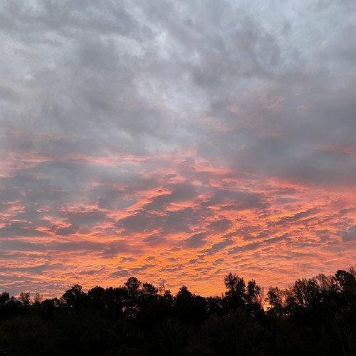 Stream Sunset (Prod. Puhf) by nathan. | Listen online for free on ...