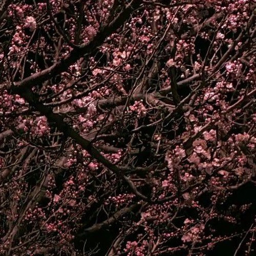 Stream - Иван Золо - Марабу (джаз ремикс by Altbey) by Helidaste ...