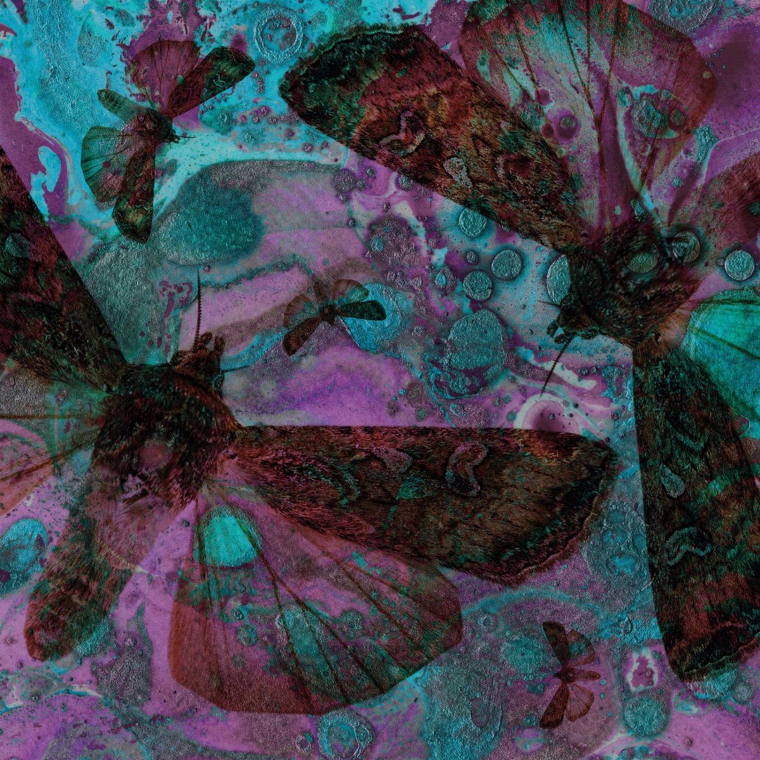 Stream Premiere : Barut - Venicse (Bandcamp exclusive) by Recordeep ...