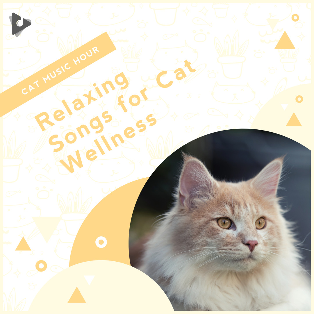 Stream Cat Music Hour | Listen to Relaxing Songs for Cat Wellness ...