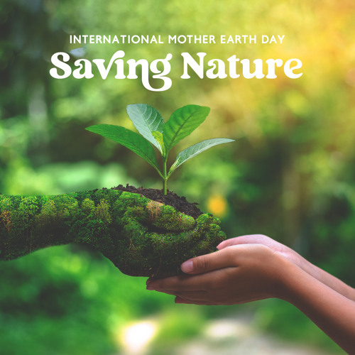 Stream Stop Hurting Nature by Natural History Muse | Listen online for ...