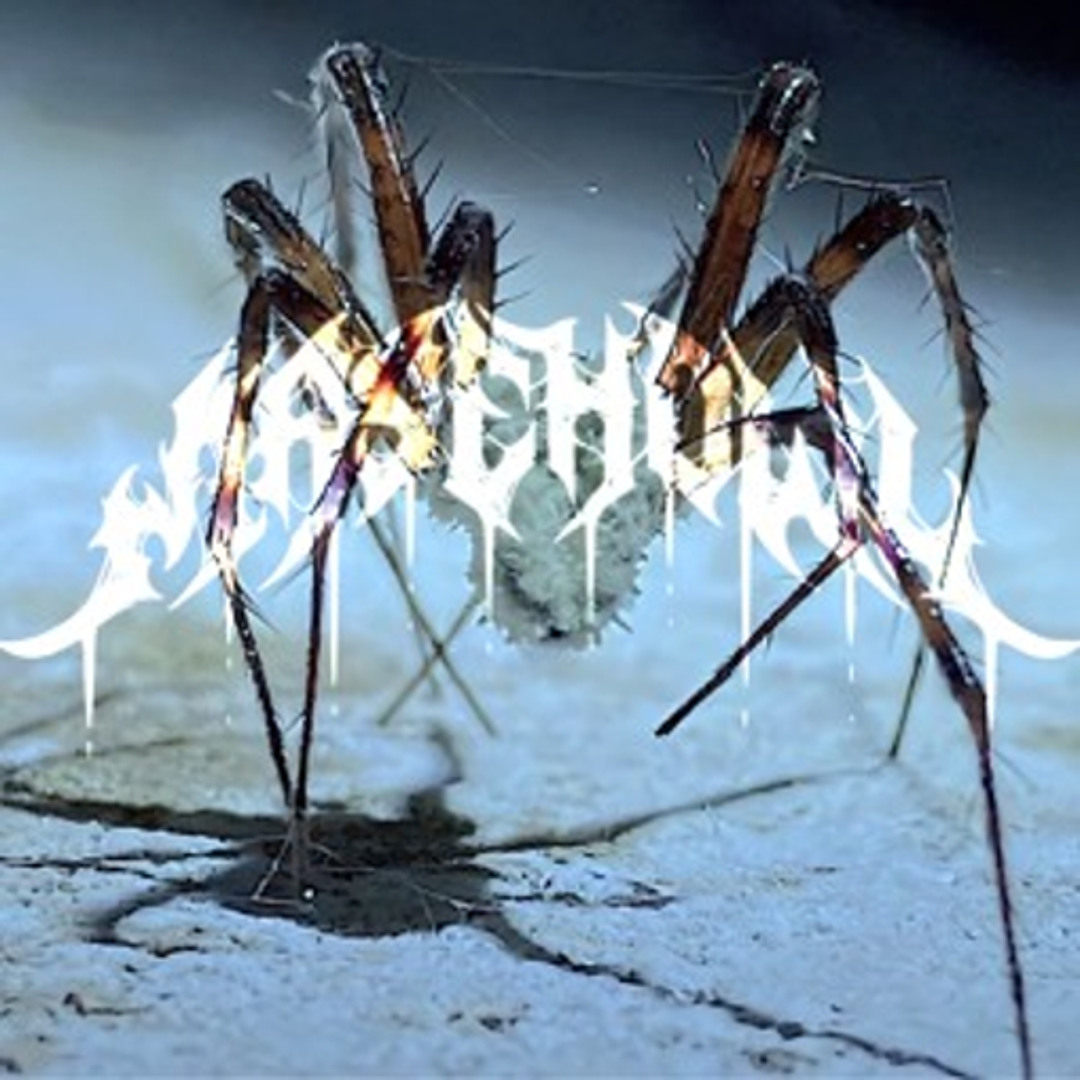 Stream Trending Music | Listen to Rock, Metal, Punk playlist online for ...