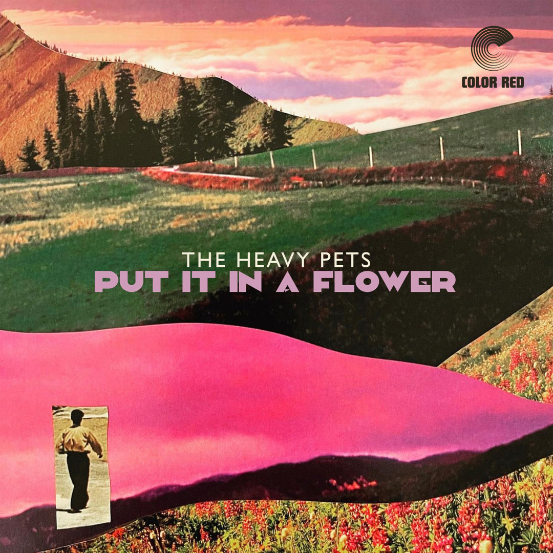 Stream The Heavy Pets | Listen to Put It In A Flower playlist online ...
