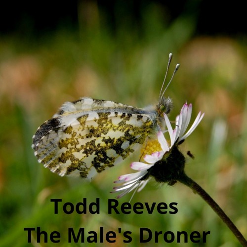 Stream Door Like Baboons by Todd Reeves | Listen online for free on ...