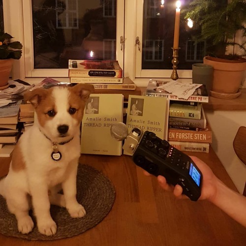 Stream episode Literaturkast om Thread Ripper af Amalie Smith - vi er ...