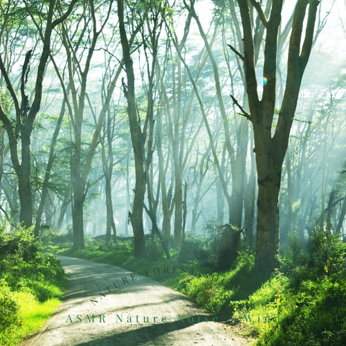 Stream ASMR Nature Noise- Wind | Listen to Nature Forest Sounds ...