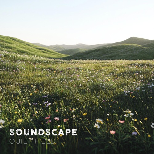 Stream SoundScape Studio | Listen to Quiet Field Soundscapes playlist online for free on SoundCloud