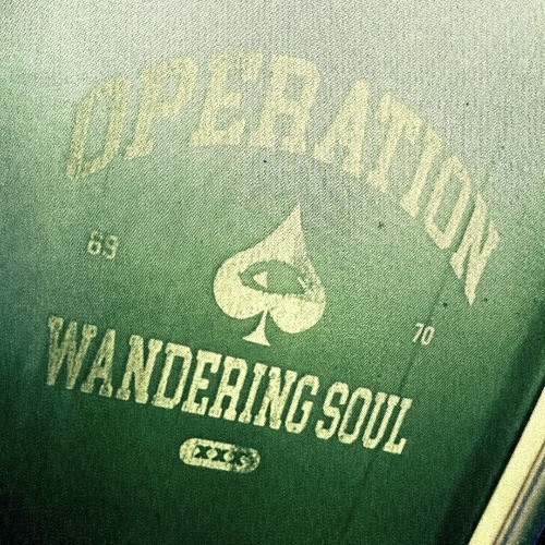 Stream plushiebackpack | Listen to Levi Ryan - operation wandering soul ...