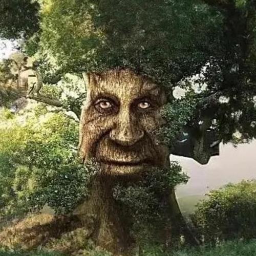 Stream Mystical Tree Emanating Wisdom Bass Boost by Zac Togepi | Listen ...