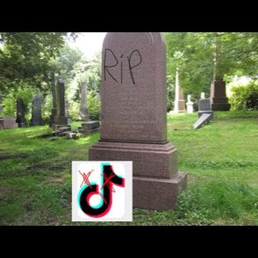 Stream RIP TIK TOK!!! by Stitch Rox | Listen online for free on SoundCloud