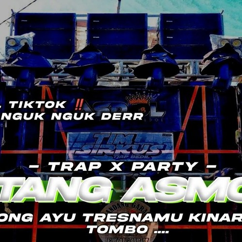 Stream Lintang Asmoro Style Trap X Party Full Bass By Ainsley