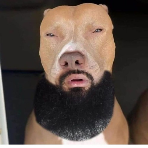 Stream REHEHE (prod. Astro Boba) by Mc Rizzer | Listen online for free ...