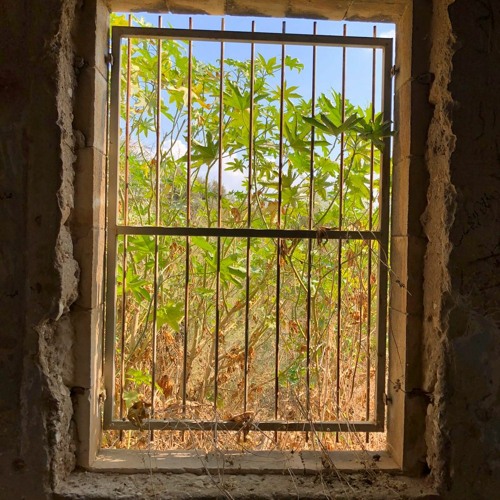 Stream Shayed شيد by ... | Listen online for free on SoundCloud