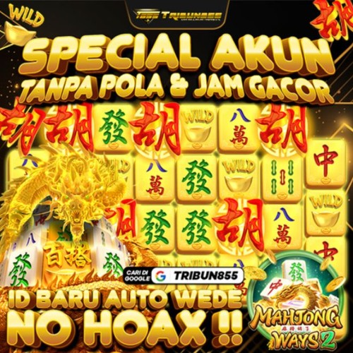 Stream MEDAN BOXING TERBARU 2024 FULL BASS by TRIBUN855 | Listen online for free on SoundCloud