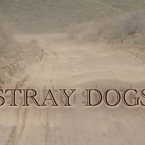 Stream Stray Dogs And Tumbleweeds (t hosman) by Tim Hosman | Listen ...