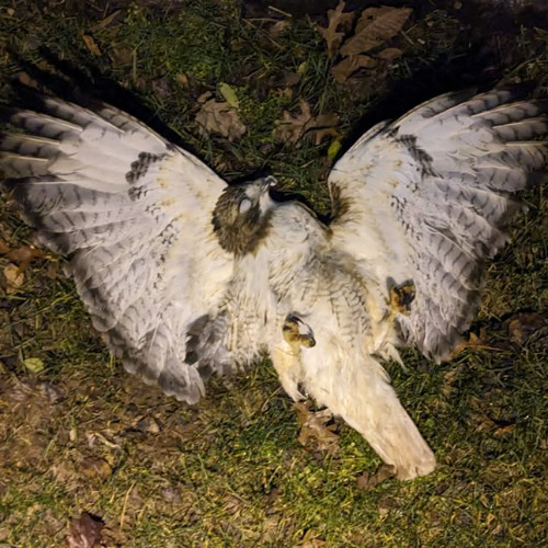 Stream clean hands by Ti Jean | Listen online for free on SoundCloud