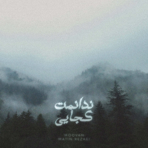 Stream Nadanamat Kojaei ft. Shajarian by MooVan | Listen online for ...