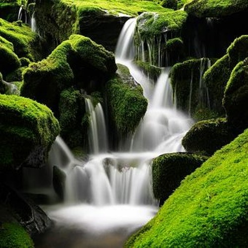Stream Curious Waterfall by Valerie Ho | Listen online for free on ...