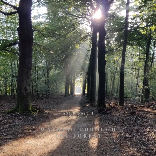 Stream ASMR the Relaxing Sound of Walkers by Walking through the Forest | Listen online for free ...