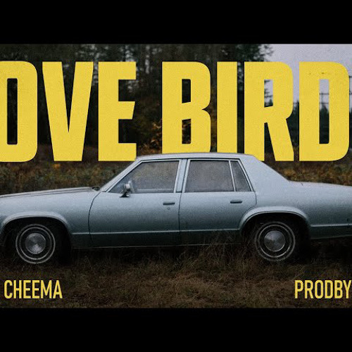 Stream LOVE BIRDS - Sahil Cheema Test Drive EP Latest Punjabi Songs ...