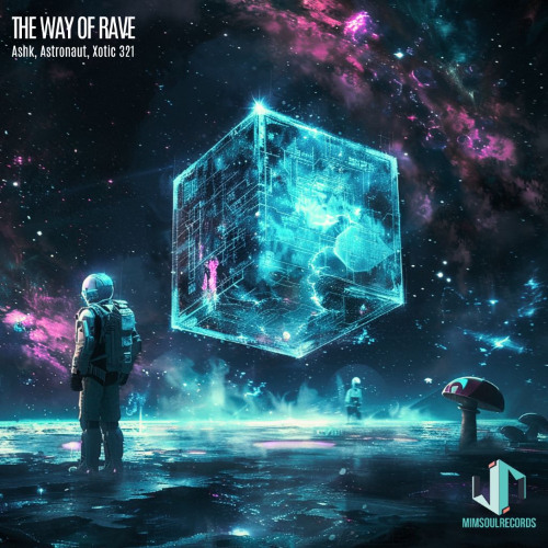Stream THE Way Of Rave by Mimsoulrecords | Listen online for free on ...